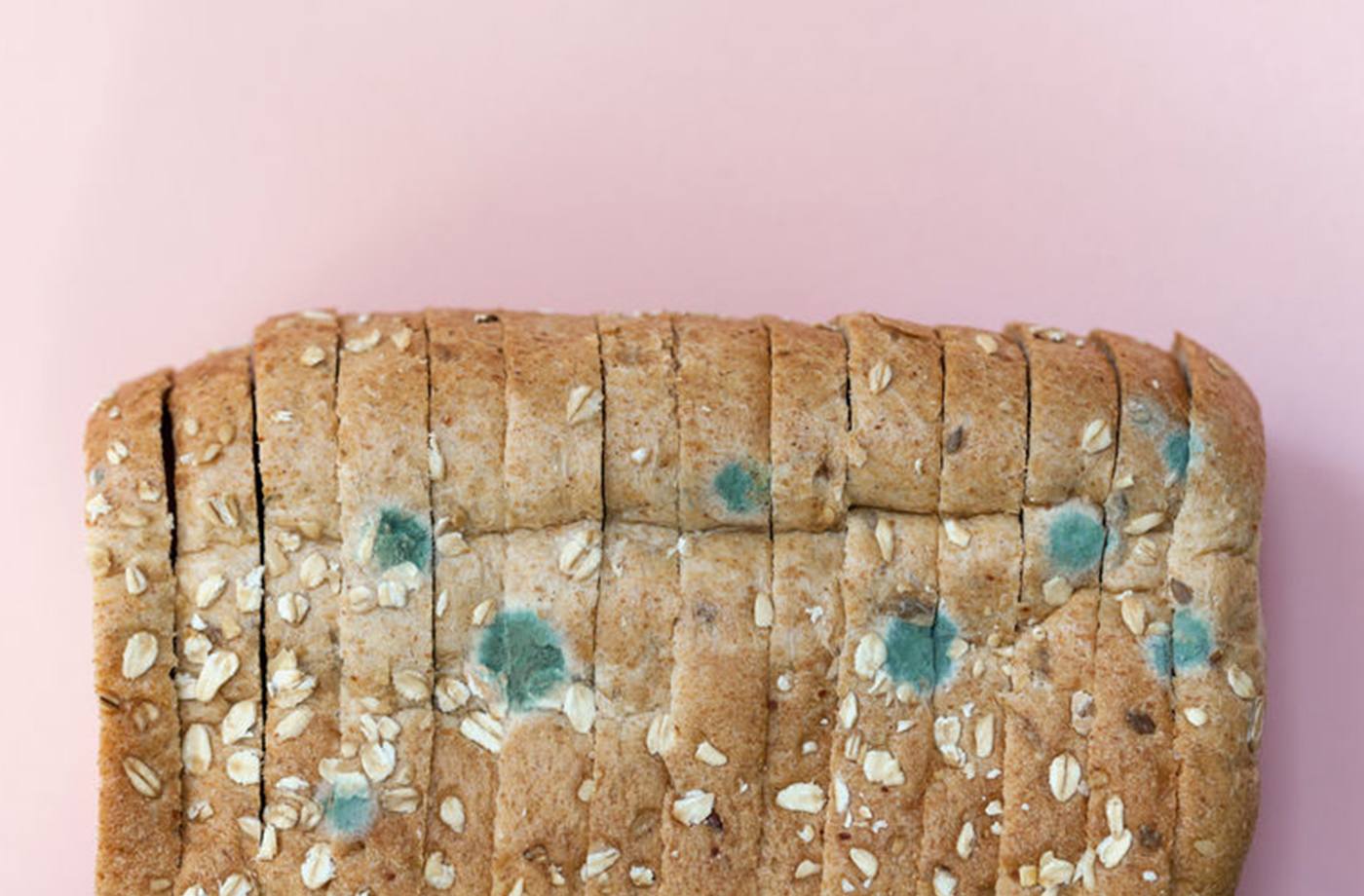 What Can Happen To You If You Eat Moldy Bread - The Dogood Press