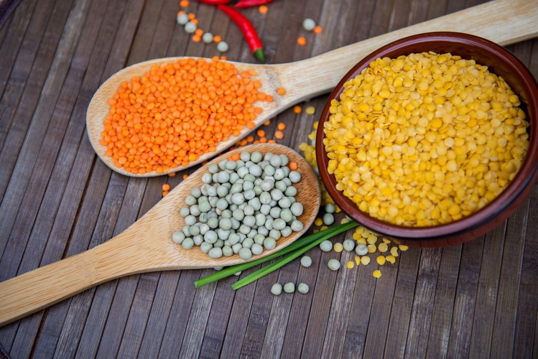 Top 5 Pulses Exporting Countries: Overview - The Dogood Press